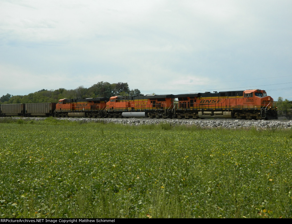 Holding At The 51 Looking Over The Soybean Fields